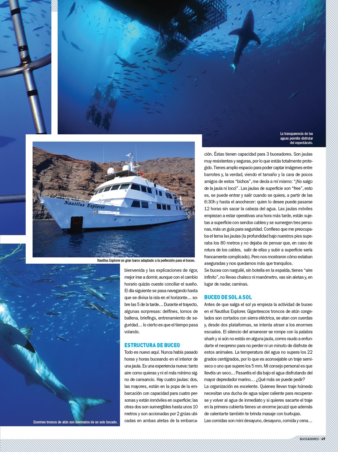 Articles - Nautilus Liveaboards
