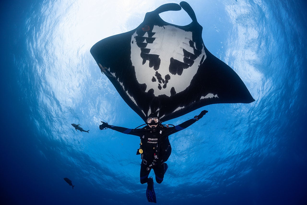 The Importance of Tourism: Manta Ray Conservation - Nautilus Adventures