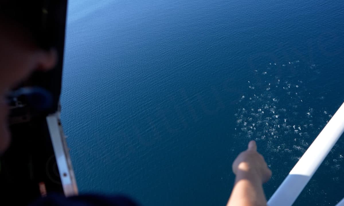 Spotter Plane Naming Contest - Nautilus Adventures