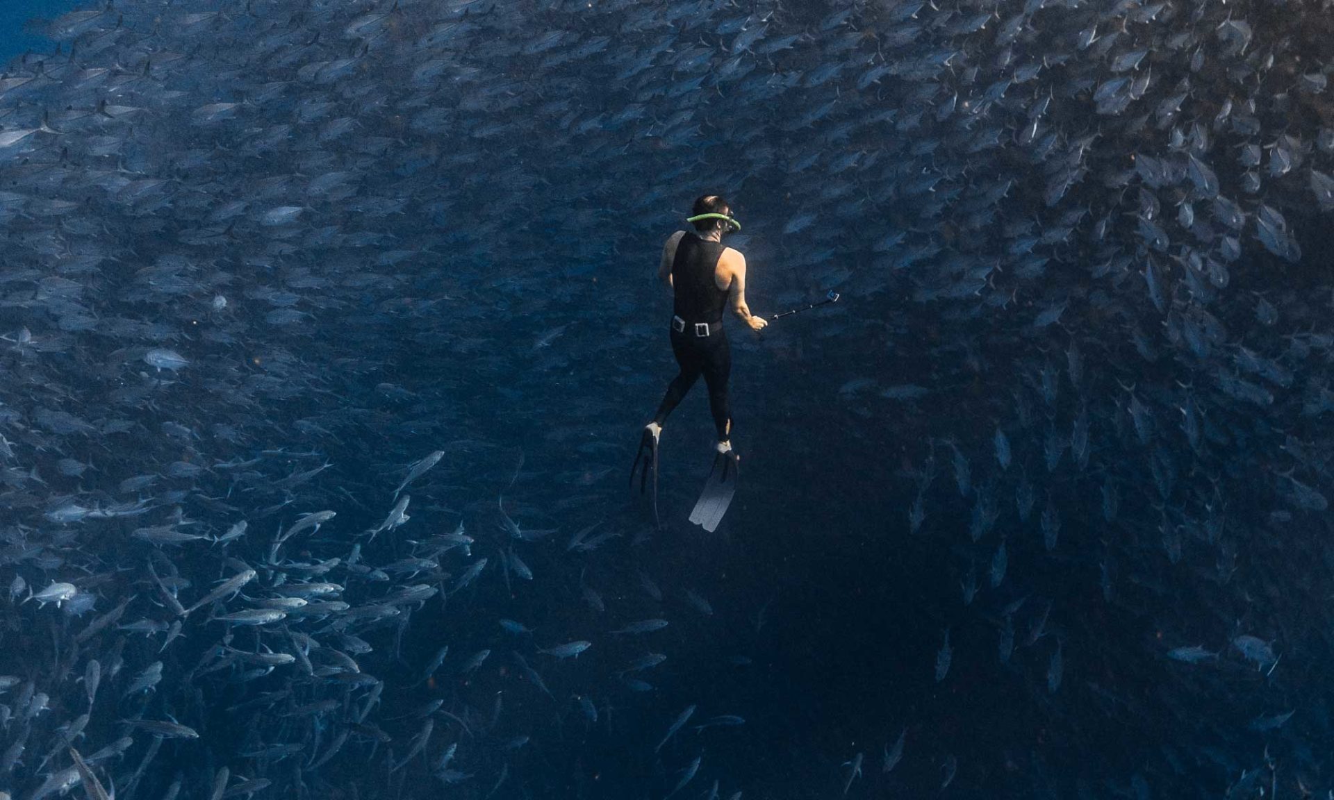 Sea of Cortez 2022 - Nautilus Liveaboards Diving Mexico