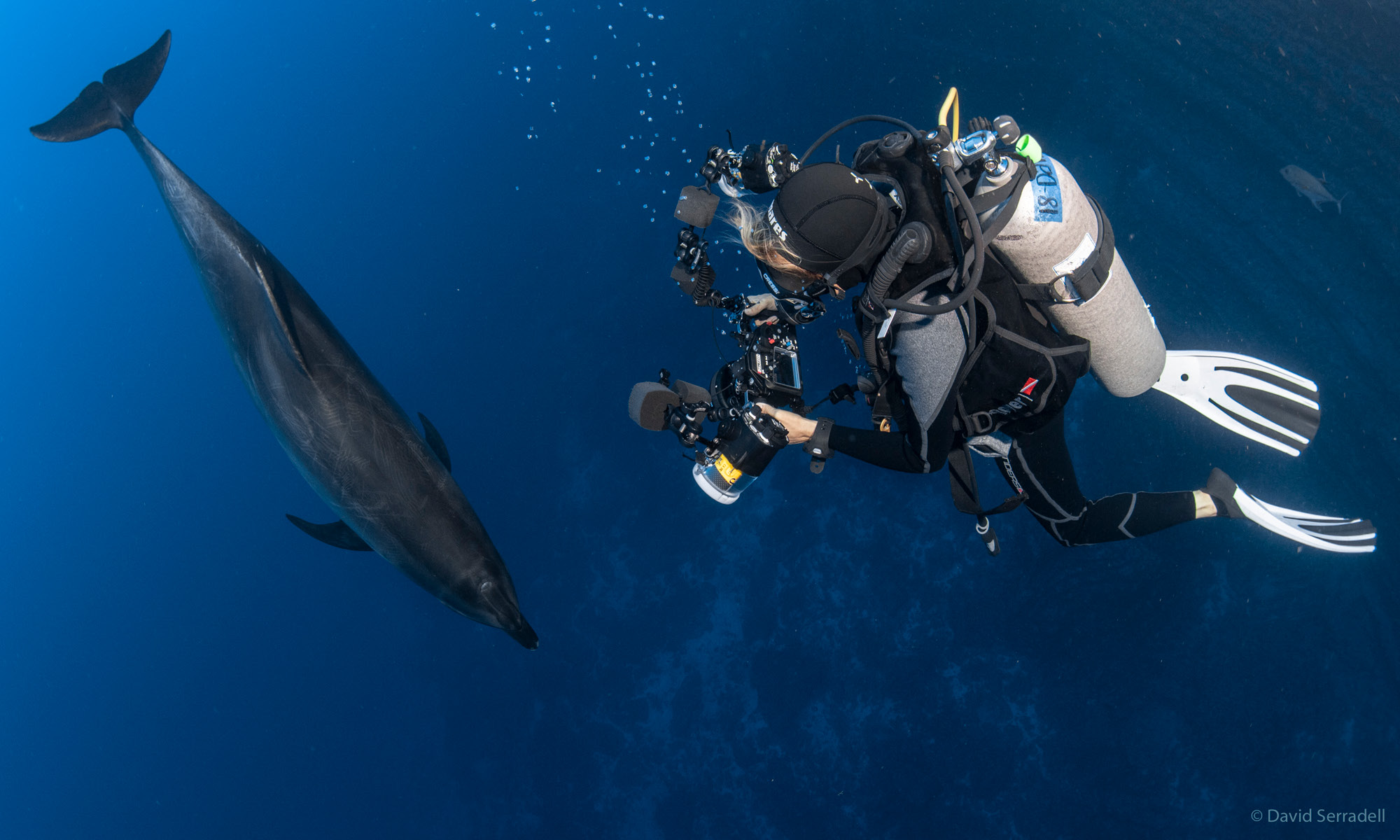 What to pack for scuba diving in Socorro?
