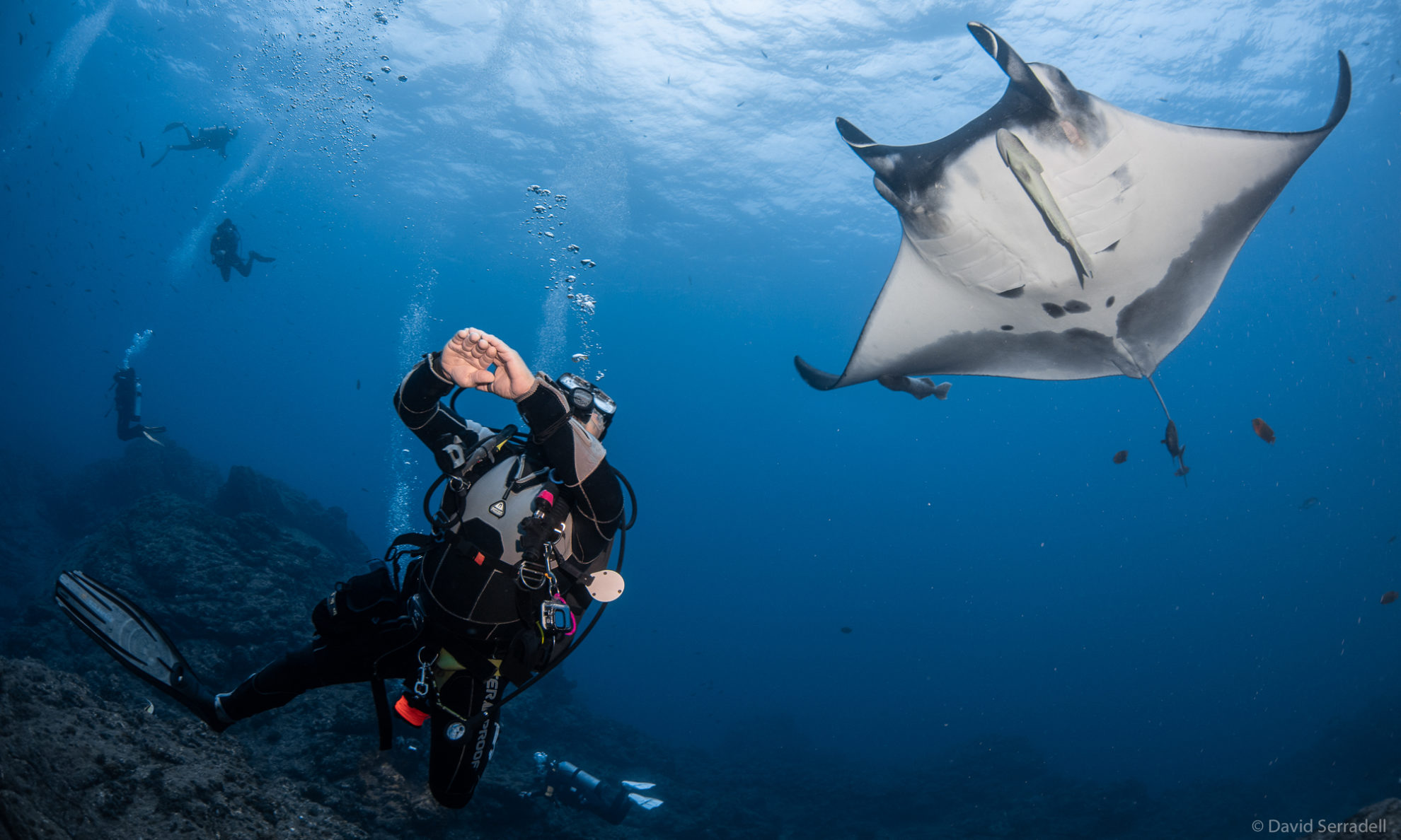Scuba Diving Socorro: Your Complete Guide